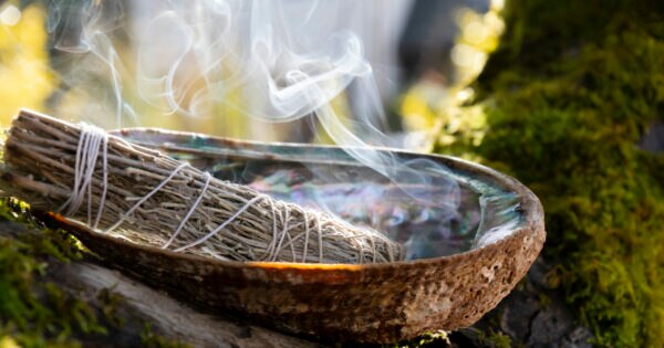 Sage: Everything You Need to Know - The Inspo Spot